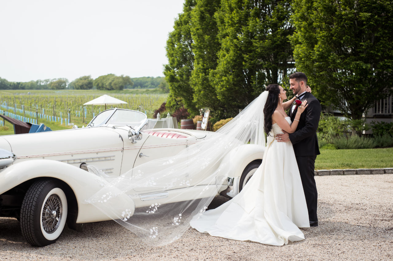 Toni-Ann & Paul – THEIA